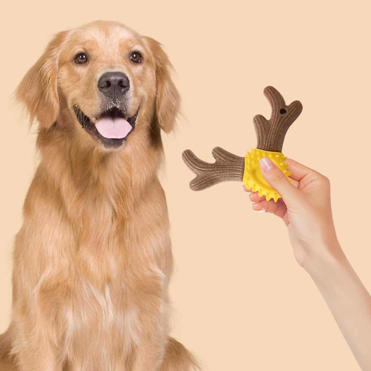 Ozeau Bite Training Dog Chew Toy Pet Dog Toothbrush Boredom Dogs Silicone Chewing Toy, Yellow