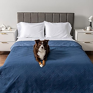 PetAmi Waterproof Bed Cover for Dogs, Waterproof Pet Blanket Couch Cover, Reversible Furniture Cover Sofa Protector for Pet Cat Bed, Washable Waterproof Blanket Dog Cover for Couch Seat, 102x82 Blue