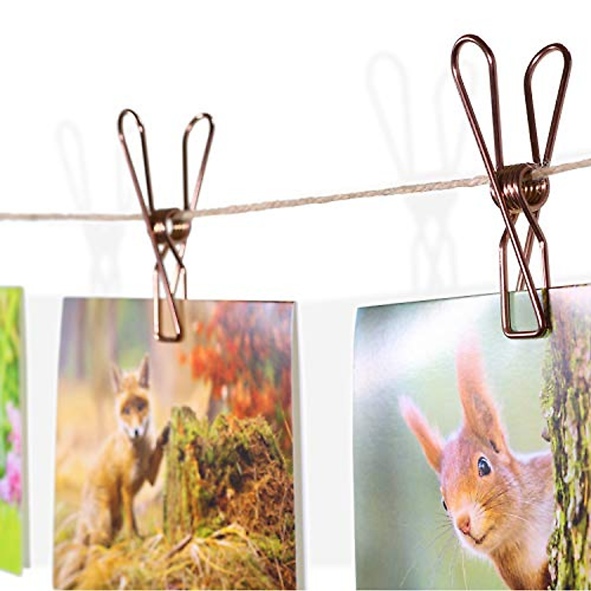 Oakenleaf Clothespins pegs Rose Gold Will Not Rust 316 Stainless Steel 20 Piece Stylish Heavy Duty Clothes Pegs Modern & Eco-Friendly 3inch - The Forever Peg