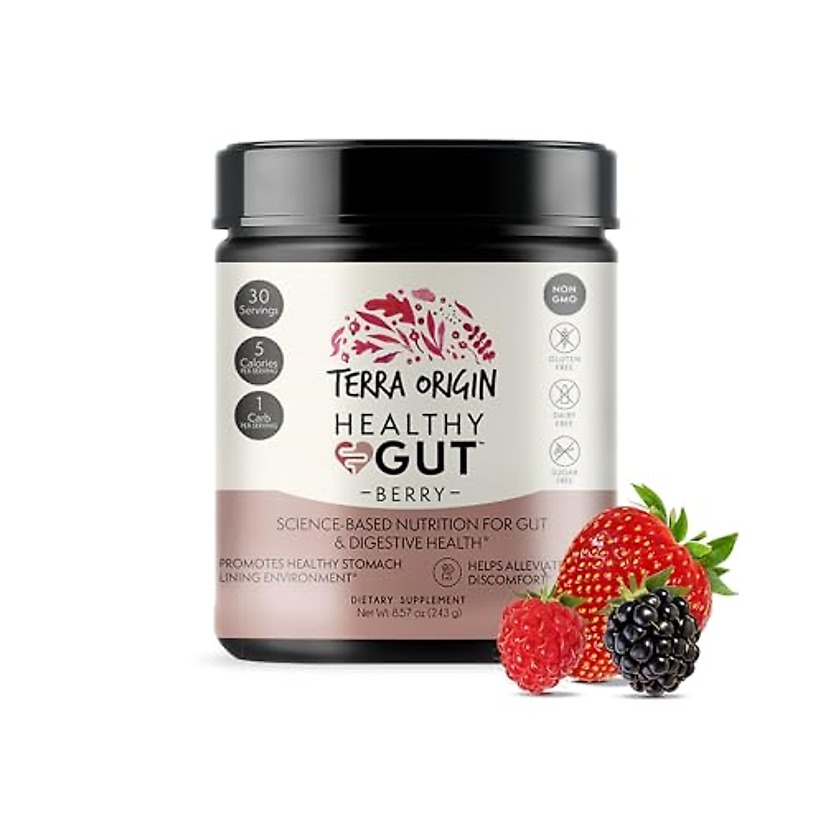 TERRA ORIGIN Healthy Gut Powder (Berry Flavor) |30-Servings with L-Glutamine, Zinc, Glucosamine, Slippery Elm Bark, Marshmallow Root and More!