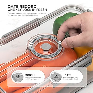 Vacream Vegetable and Fruit Storage Containers for Fridge Organizer Refrigerator,refrigerator organizer bins(Va-Stackable-Grey)