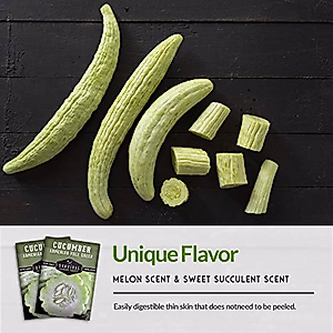 Survival Garden Seeds - Armenian Pale Green Cucumber Seed for Planting - Packet with Instructions to Plant and Grow Long Burpless Cucumbers in Your Home Vegetable Garden - Non-GMO Heirloom Variety