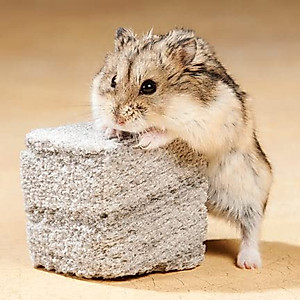 Exotic Nutrition Pumice Chew Block - Natural Volcanic Pumice Chew for Small Pets