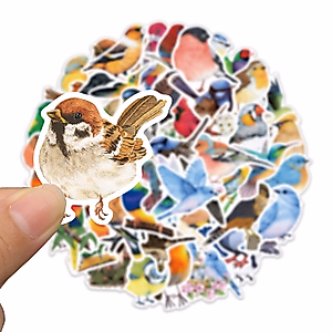 100 PCS Bird Stickers, Vinyl Waterproof Bird Stickers for Water Bottles, Laptop, Notebook, Scrapbook, Luggage, Cell Phone, Skateboard, Helmet