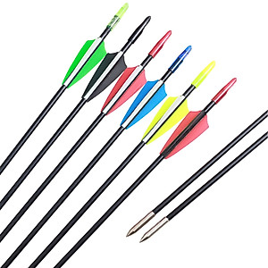 NC93 31Inch Archery Target Practice Arrows Fiberglass Arrows for Youth Children Beginner Recurve Bow Traditional Bow Shooting (6pcs) (Green)