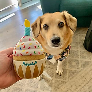 Nestpark Dog Birthday Toy - Pup Cake Puppy Birthday Dog Toy Cupcake Plush Squeak and Crinkle Dog Birthday Gift