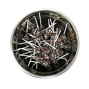 Chocolate Only Tootsie Pops Bulk Candy 60 Count Lollipops Suckers Variety Value Pack Aprox. 2.5 lbs (40 Oz) Packaging Might Vary