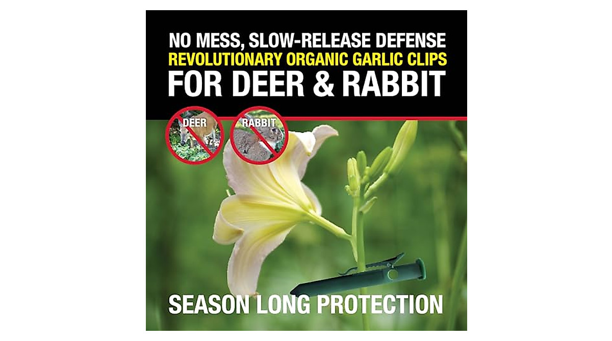 The Giant Destroyer 700 Garlic Deer & Rabbit Repellent, 12 Clips, Green ...