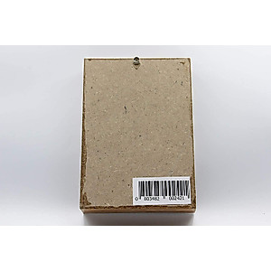 TAXIBUGS Real Beetle Display Taxidermy Odontolabis Elegans Insect Bug Entomology Box Wood Framed (Male & Female) (Wooden Box)