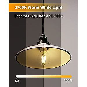 YEELIGHT Smart LED Edison Bulb, Edison Light Bulb, E26 Dimmable Filament Light Bulbs, LED Smart Vintage Edison Bulb, Compatible with HomeKit, Alexa & Google Home, Smartthing, Amber Warm 2700K, 700lm