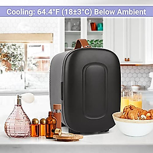 Living Enrichment Mini Fridge, 4L Skincare Fridge, Portable Small Refrigerator Cooler for Skincare, Beverage, Food, Cosmetics, Home, Bedroom, for Christmas Gift - Black