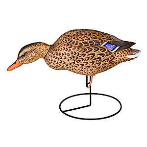 Flambeau Outdoors 8700FBU Storm Front 2 Mallard Decoys, Full Body - 6-Pack