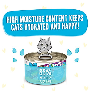Weruva B.F.F. OMG - Best Feline Friend Oh My Gravy!, Chicken Cloud 9 with Chicken in Gravy, 2.8oz Can (Pack of 12)