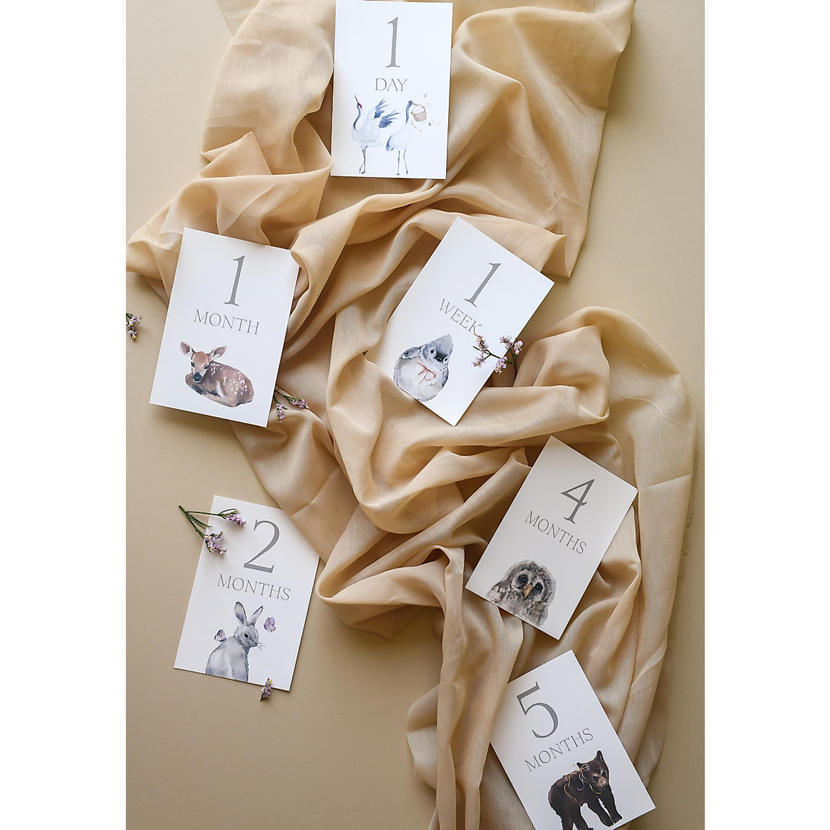 Weekend Paper Co.™ Baby Animals Milestone Cards, baby monthly marker for an expecting mother or new mother, baby gifts or shower registry.