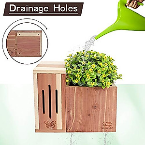 Solution4Patio USA Cedar Butterfly House & Flower Pot 2 in 1 Combination Multifunctional Design with Drainage Holes, 9.2 in. L x 5.7 in. W x 8.0 in. H #B309A00