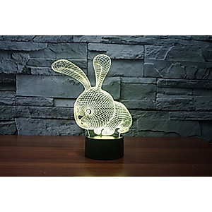 FXUSLGT Animal 3D Rabbit Night Light 16 Color Change LED Remote Control Table Desk Lamp Acrylic Flat ABS Base USB Charger Home Decoration Toy Birthday Xmas Kid Children Gift