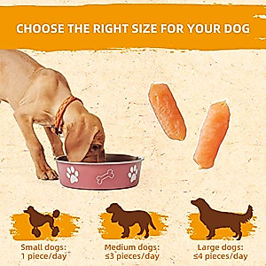 Jungle Calling Dog Treats Chicken Jerky Training Treats, Slow Roasted Snacks for Medium and Large Dogs Chewy Treats 10.6 Ounce (Chicken Sausage)
