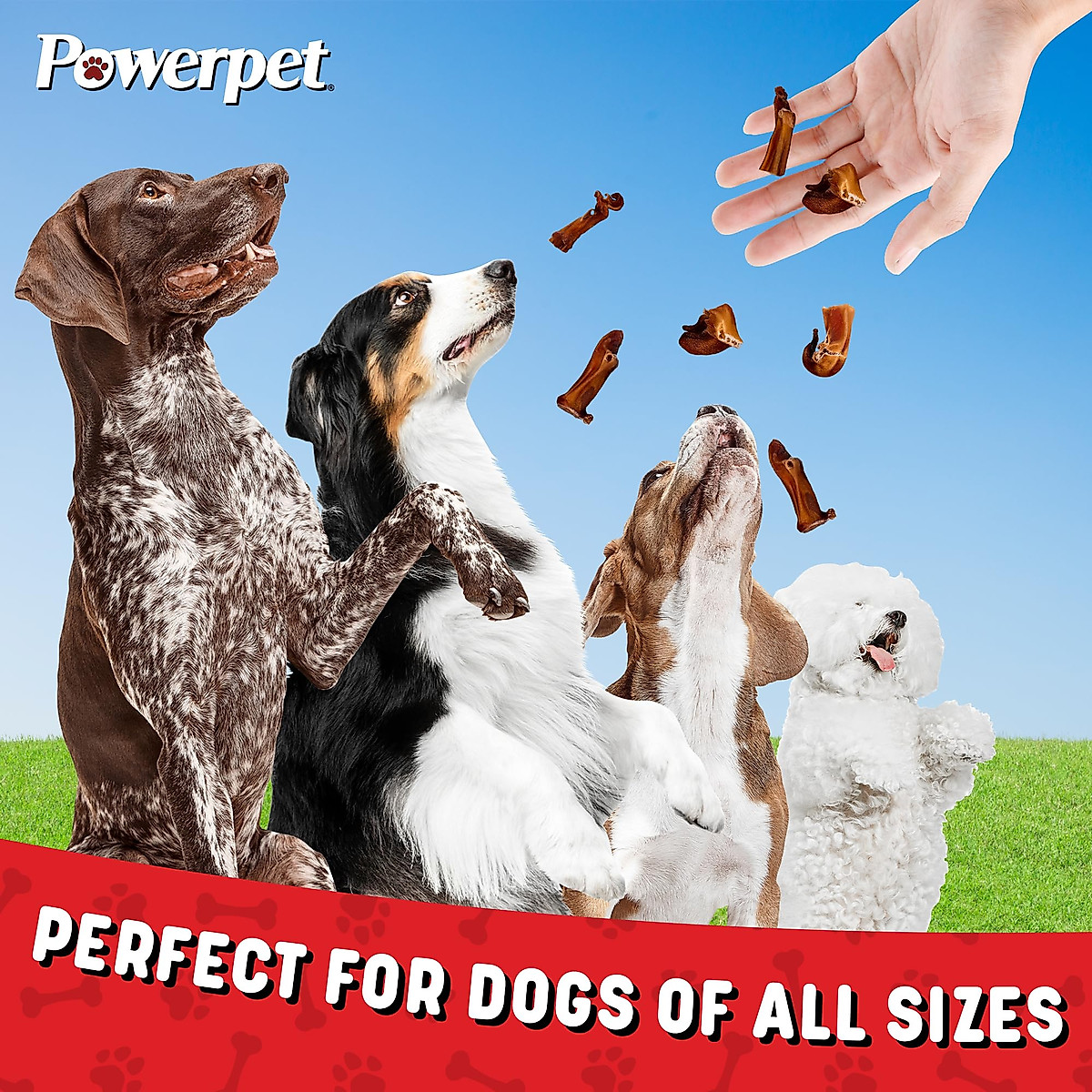 Powerpet Treats Bully Stick Bites - Delicious Dog Treats - All Natural, Long-Lasting Chews, High Protein, Grain-Free, Rawhide-Free - Odorless - Promotes Dental Health, Ideal for All Chewers - 1lb Pack