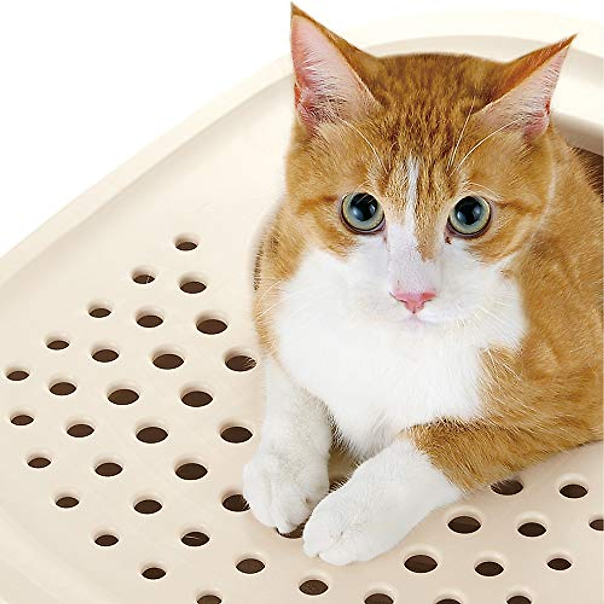Richell PAW TRAX Top Entry Cat Litter Box in Brown, Hooded Cat Litter Pan with Scoop