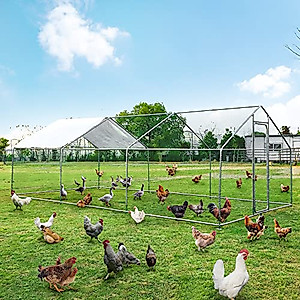 LEISU Outdoor Large Chicken Run Walk-in Chicken Coop with Waterproof Cover Chicken Playpen Metal Hen Cage Duck Cage Enclosure Rabbit Nest Fence Chicken Cages for Backyard Farm (19.7'x9.9'x6.57')