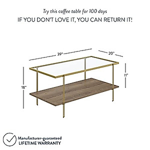 Nathan James Asher Mid-Century Rectangle Coffee Table Glass Top and Rustic Oak Storage Shelf with Sleek Brass Metal Legs, Gold