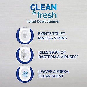 Lysol Toilet Bowl Cleaner Gel, For Cleaning and Disinfecting, Stain Removal, Forest Rain Scent, 24oz