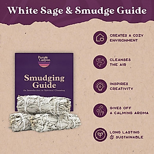 PURPLE CANYON White Sage Bundles - (3 Pack) - Sage Smudge Stick for Home Cleansing Incense Healing Meditation and California Smudge Sticks Rituals (4 Inch)