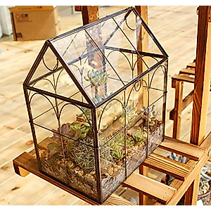 ELEGANTLIFE Glass Geometric Plant Terrarium,Succulent & Air Planter for Home Garden Office Decoration (Black House)