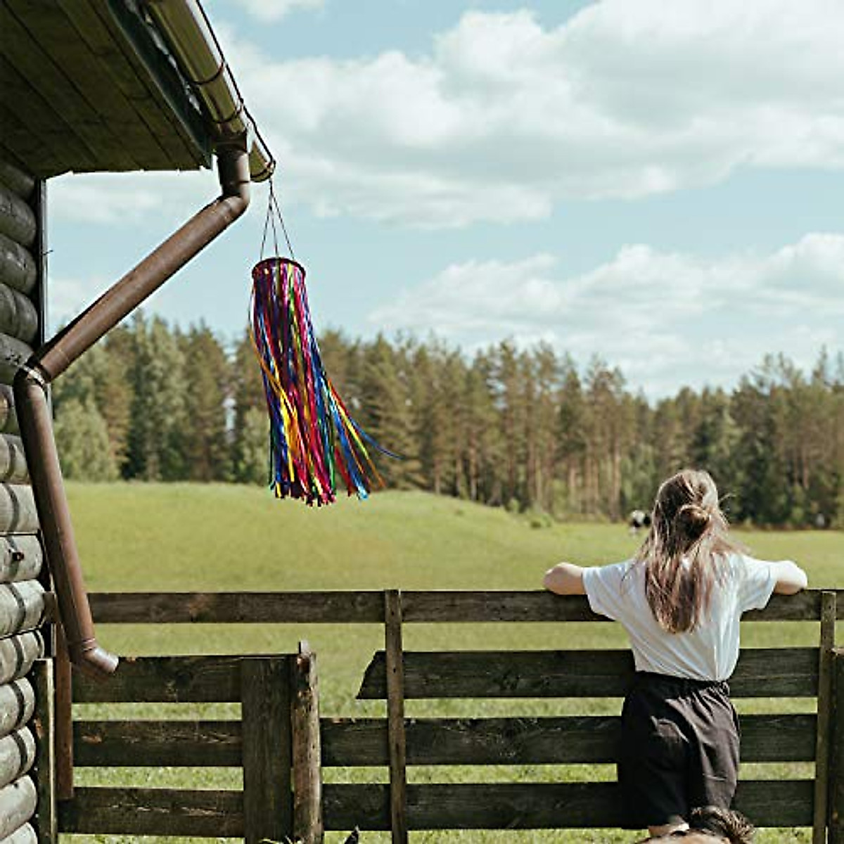 Satin Ribbon Windsock Streamer, Outdoor Decorations for Your Patio, Garden, Yard, Dock and Camper, 41-Inch, WS41-01