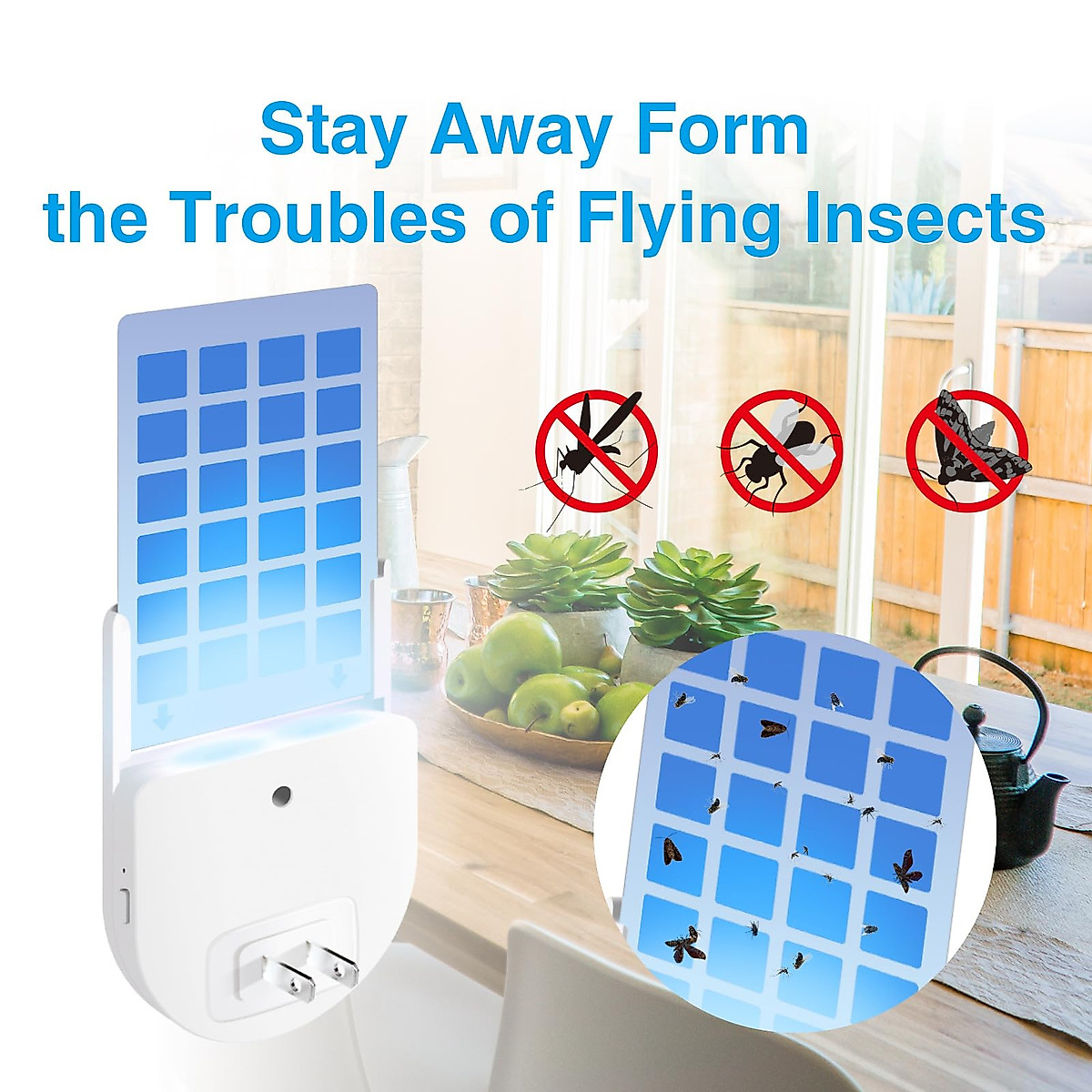 2 Pack Flying Trap Indoor, Fruit Fly Traps for Indoors with 12 Glue Cards, Safe and Effective Gnat Traps for House Indoor, Fruit Fly Trap, Indoor Fly Trap, Fly Traps Indoor for Home, Insect Traps