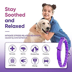 Calming Collar for Dogs 4 Packs Pheromone Collars Appeasing Dog Separation Anxiety Relief Stress 60 Days Calm Pheromones Relax Breakaway Design Adjustable Size Fit Medium Large Small Puppy(25 Inches)