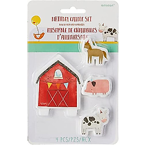 Barnyard Birthday Birthday Candle Set | Multicolor | 4 Pcs