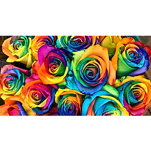 SeedCoast Rainbow Rose Seeds for Planting - Rare Rose Bushes Ready to Plant Outdoor Home Garden - Heirloom Perennial Climbing Rose Flower Bulk of 100 Seeds