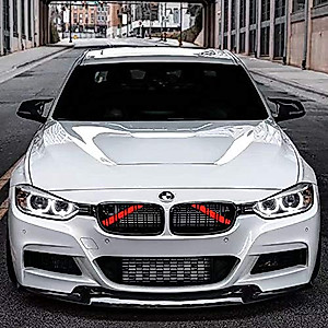Red Grill Stripes for BMW F30 F32, Kidney Grille Inserts Trim for BMW 3 4 Series (F20 F30, Red)