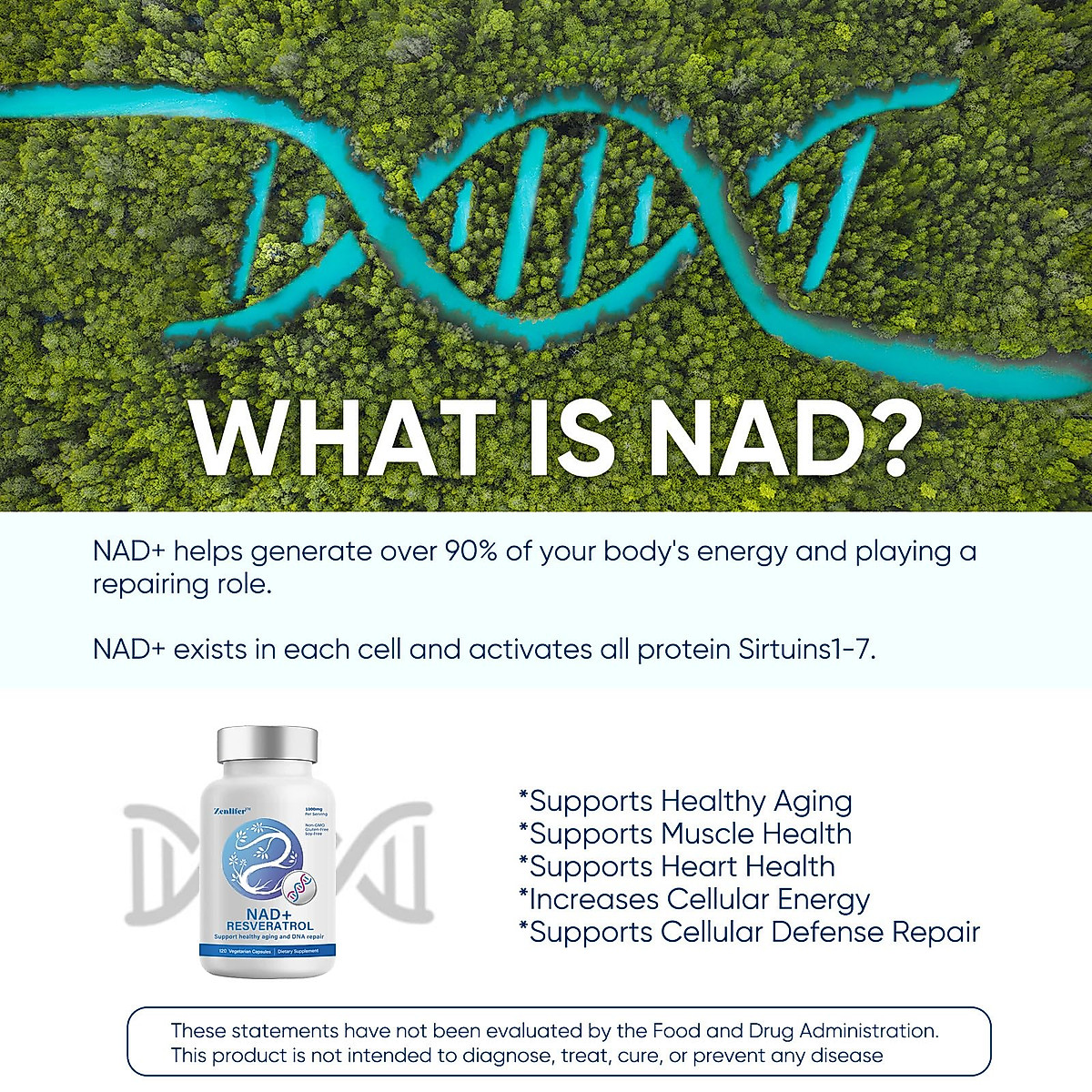 Zenlifer 240 Capsules NAD+ 1000MG Resveratrol Boosting Supplement - More Efficient Nicotinamide Riboside for Cellular Energy Metabolism & Repair, Vitality & Healthy Aging