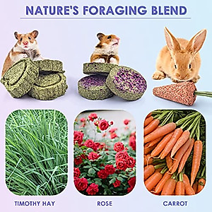 KATUMO 24PCS Rabbit Chew Treats, Healthy Bunny Treats Natural Timothy Hay Sticks Rabbit Chew Toys Small Animal Treats