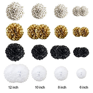 Tissue Paper Pom Poms Paper Flower 22Pcs for Birthday Bachelorette Wedding Baby Shower Bridal Shower Party Decoration