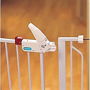 Carlson Extra Wide Walk Through Pet Gate with Small Pet Door, Includes 4-Inch Extension Kit, Pressure Mount Kit and Wall Mount Kit,White