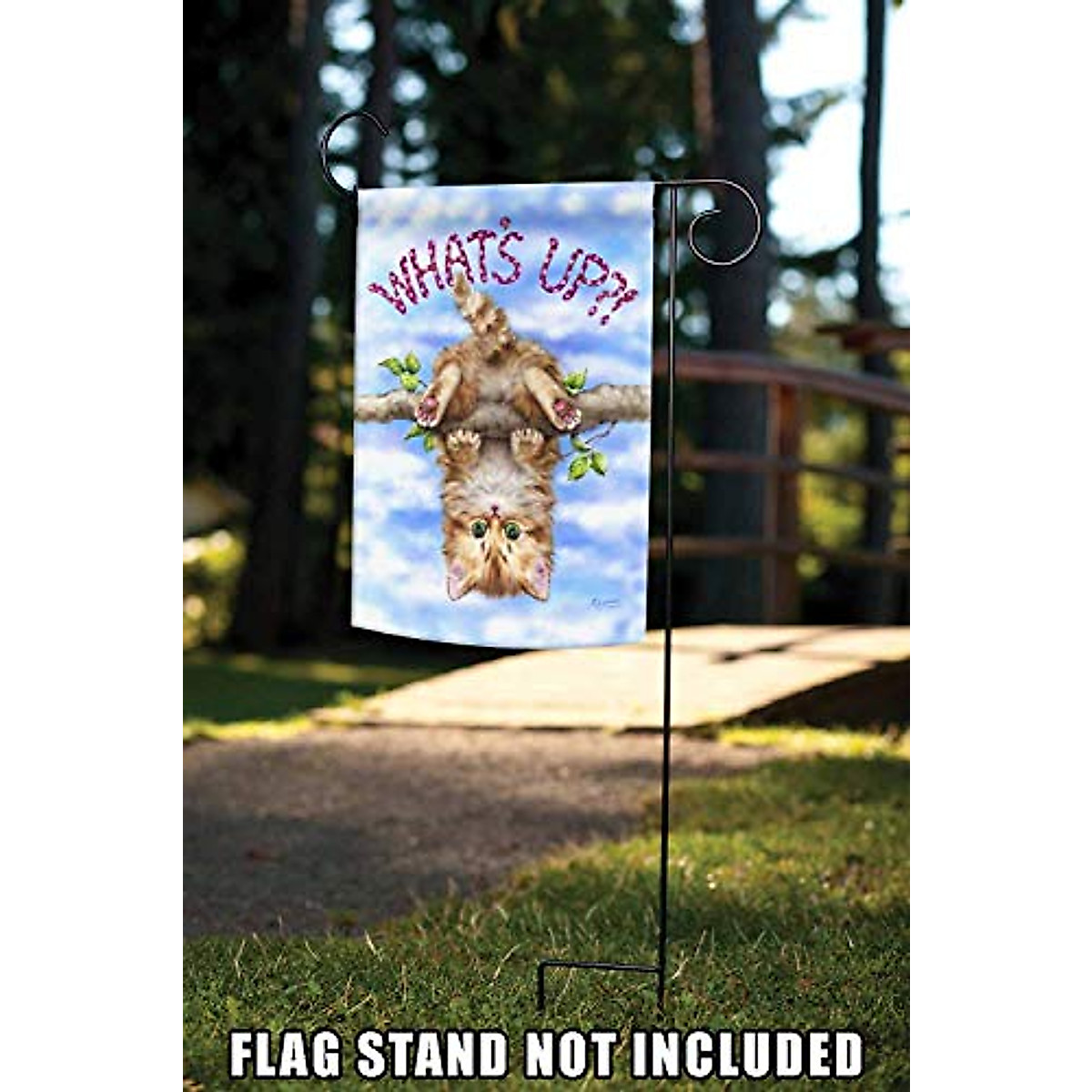 Toland Home Garden 1110807 What's Up Cat Flag 12x18 Inch Double Sided Cat Garden Flag for Outdoor House Kitten Flag Yard Decoration