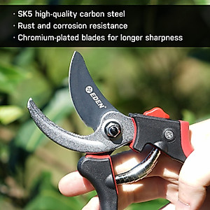 Eden Professional Sharp Bypass Pruning Shears, Tree Trimmers Secateurs,Hand Pruner, Garden Shears,Clippers For Garden, Bonsai Cutters (Model# 39001)