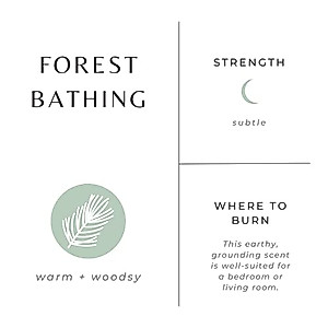 Slow North Forest Bathing Candle (8 oz) Scented with Essential Oils Soy Wax Candle, 100% Pure, Reusable Frosted Glass Tumbler with Cork Lid, Cotton Wick, Hand-poured in USA