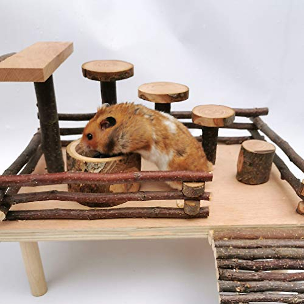 POPETPOP Hamster Wooden Food Bowl for Hedgehog Guinea- Pig Gerbil Squirrel Reptiles Chinchilla Ceramic Feeding Dish (Random Color)