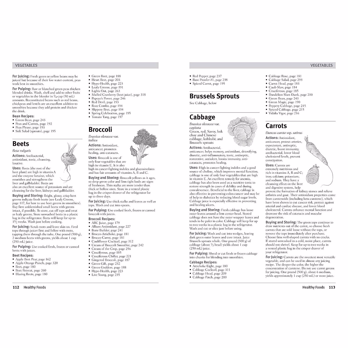 The Juicing Bible [Spiral-bound] Pat Crocker