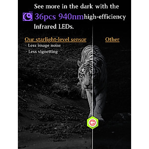 BLAZEVIDEO 2-Pack Game & Trail Camera 32MP 1296P MP4 Video No Glow Night Vision Motion Activated IP66 Waterproof 0.3 Trigger Speed for Hunting Wildlife & Home Surveillance