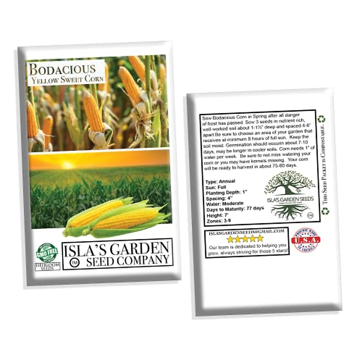 Bodacious RM Sweet Yellow Corn Seeds for Planting, 50+ Seeds Per Packet, (Isla's Garden Seeds), Non GMO Seeds, 90% Germination Rates, Scientific Name: Zea Mays, Great Home Garden Gift