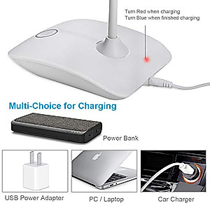 DEEPLITE LED Desk Lamp with Flexible Gooseneck 3 Level Brightness, Battery Operated Table Lamp 5W Touch Control, Compact Portable lamp for Dorm Study Office Bedroom, Eye-Caring and Energy Saving