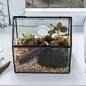 NCYP Small Glass Terrarium with lid for Air Plants Moss Succulent, Handmade Geometric House Shape Close Glass Box for Snail Reptile Habitat, Tabletop DIY Display Container (Glass Box Only) Black