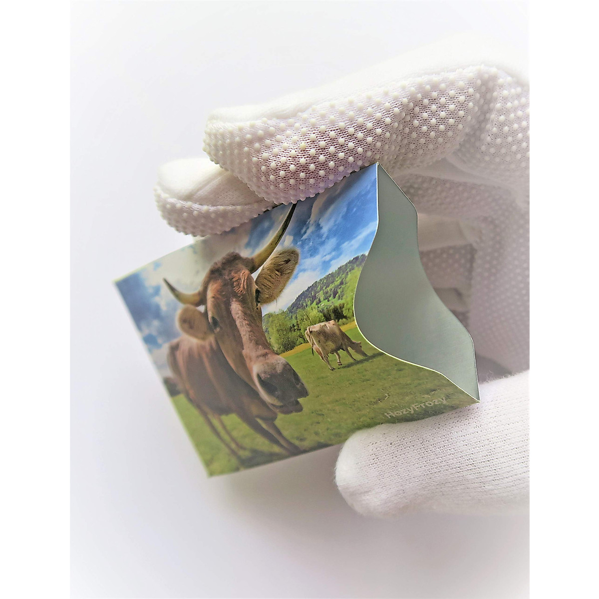 8 RFID Blocking Sleeves, Credit Card Protector, Anti-Theft Credit Card Holder, with Lion, Horses, Elephant, Dolphins, Cow, Peacock, Polar Bears and Raccoon Prints