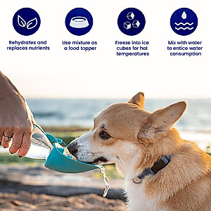 Replenish Dog Recovery Water Supplement - Dog Rehydration Liquid & Powder Dog Electrolytes - Vet Formulated Electrolytes for Dogs & Dog Water - All Natural Hydration for Dogs -10 packets - (Pack of 1)