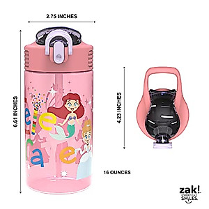 Zak Designs Kids Water Bottle For School or Travel, 16oz 2-Pack Durable Plastic Water Bottle With Straw, Handle, and Leak-Proof, Pop-Up Spout Cover (Disney 100 Princess, Limited Edition)